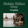 Mysa Nordic Spa & Resort